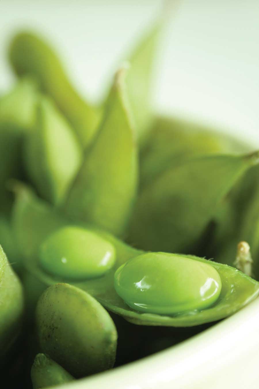 Cooking With Beans a Staple of Farm Life - Grit